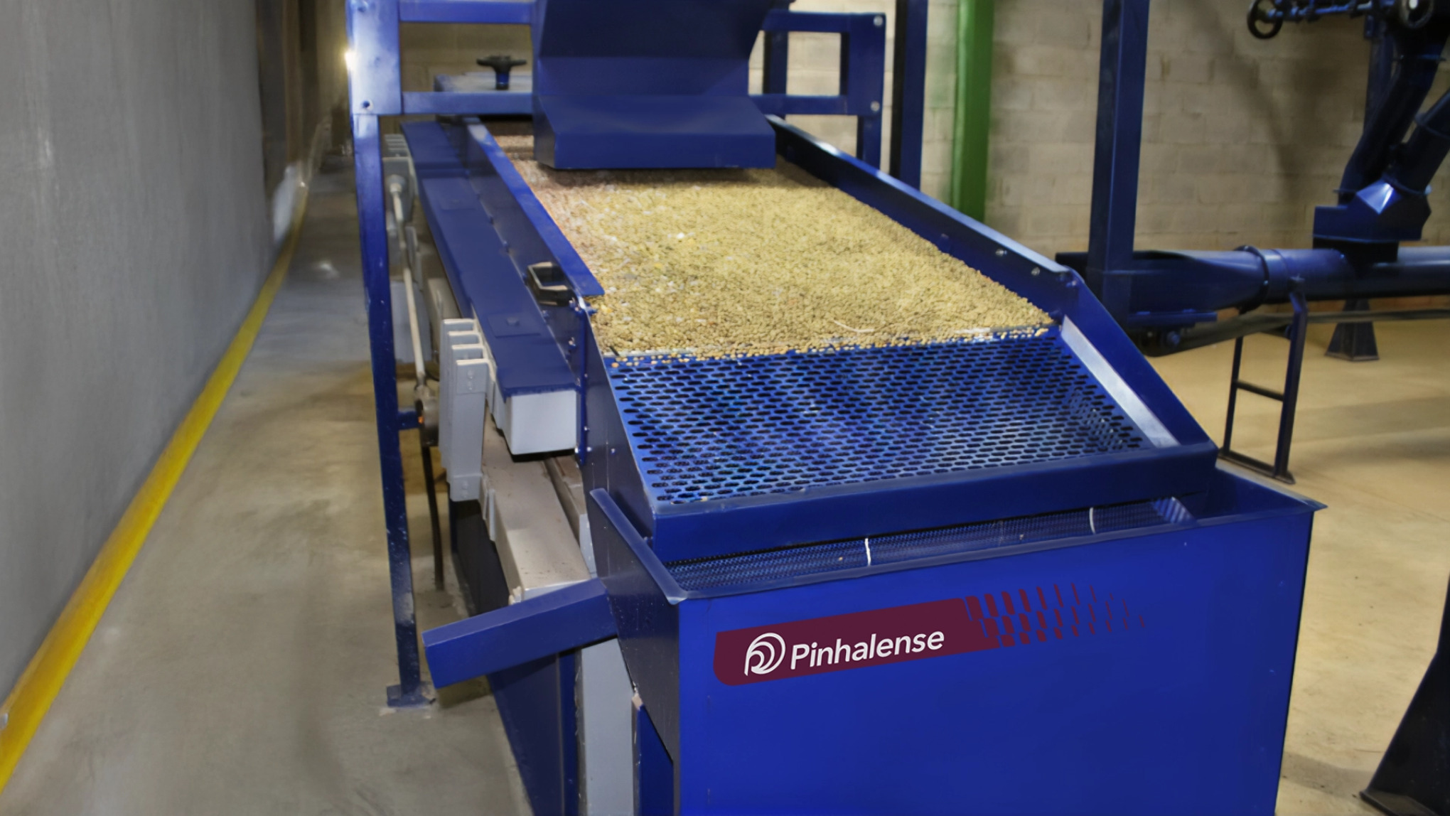 Catador de Pedras - Pinhalense