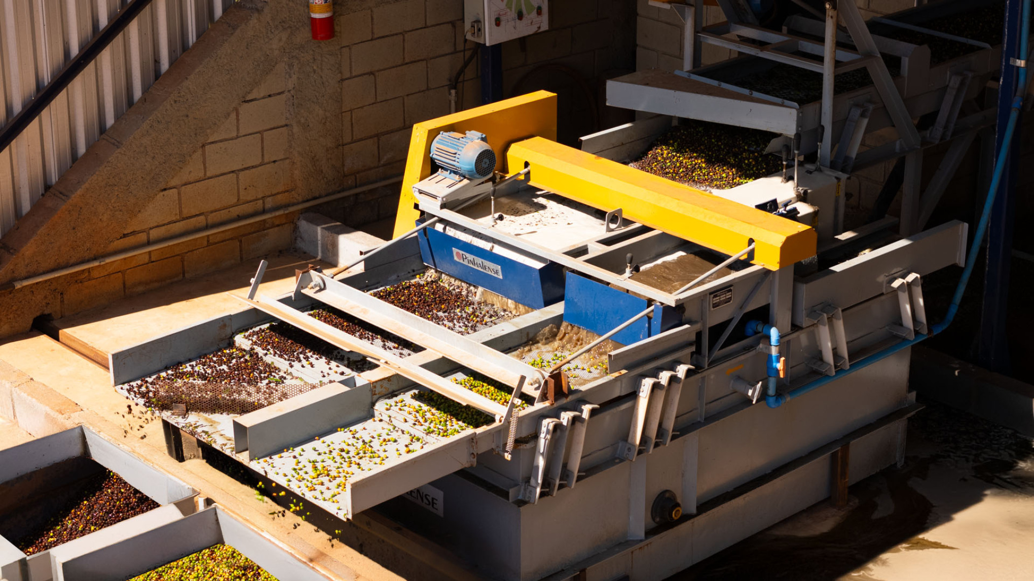 Coffee Washer and Separators - Pinhalense